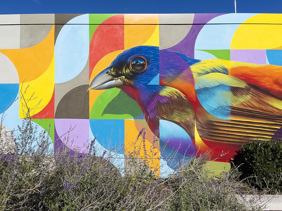 JEFF HUNTINGTON aka JAHRU