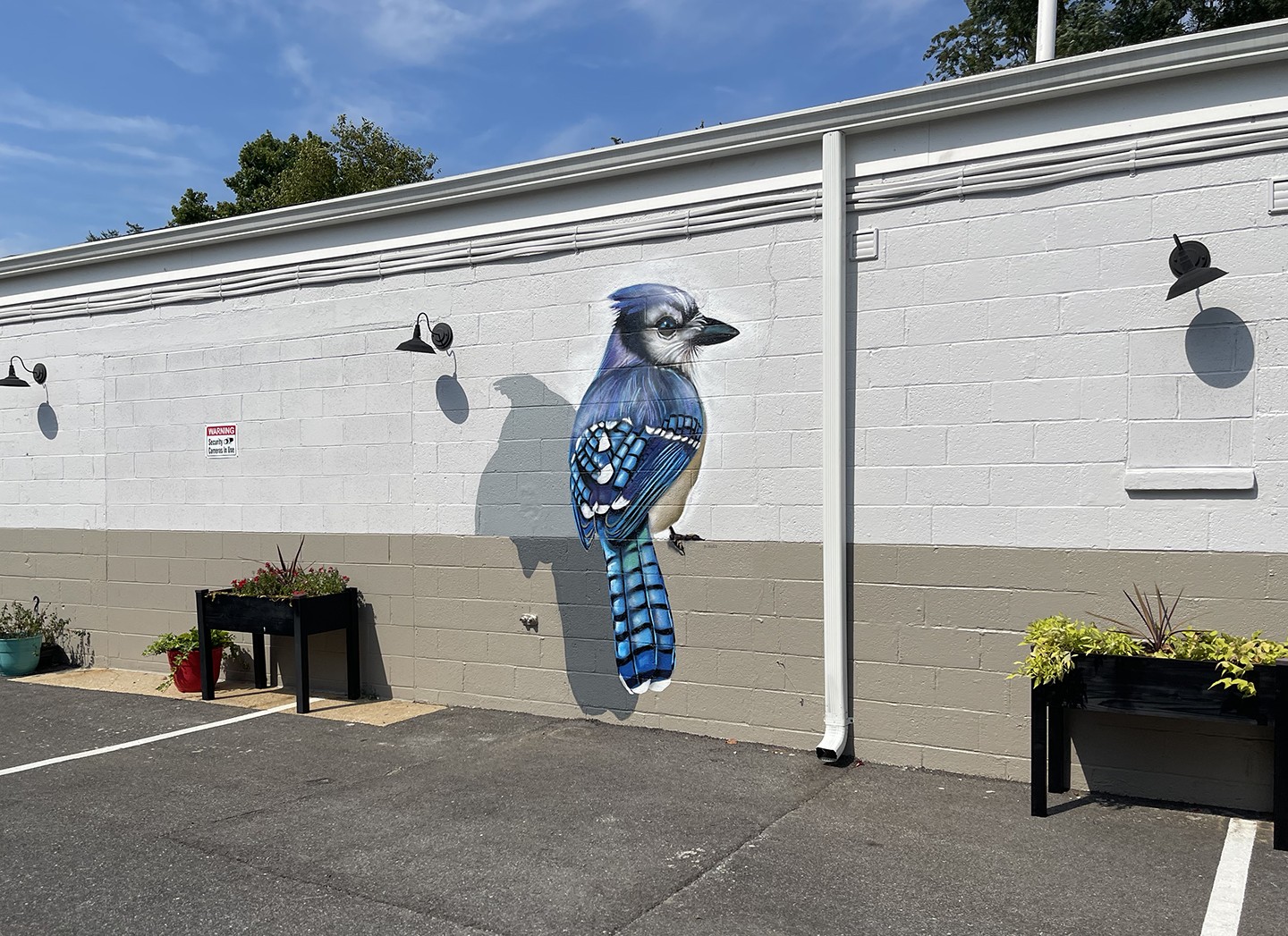 JEFF HUNTINGTON aka JAHRU