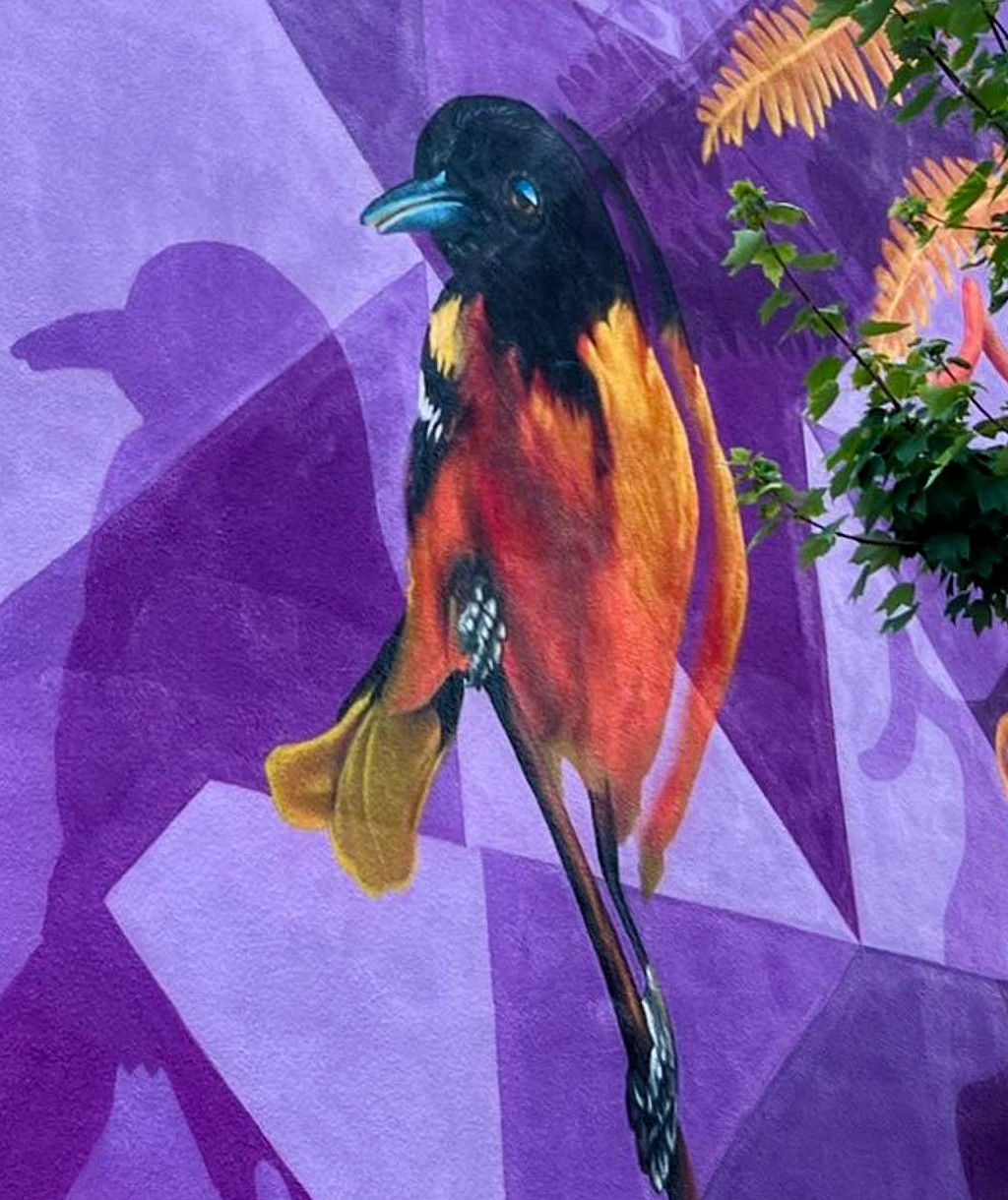 JEFF HUNTINGTON aka JAHRU