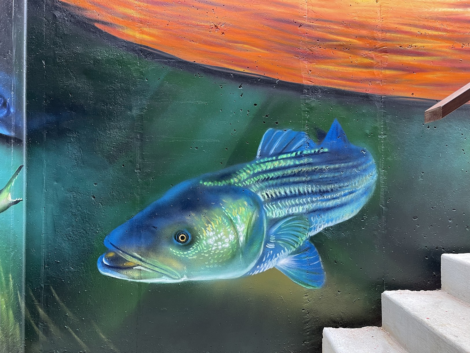 JEFF HUNTINGTON aka JAHRU