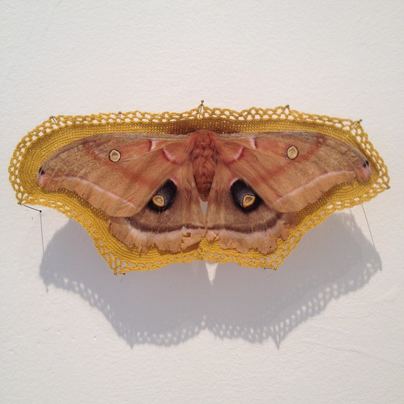 Esther Traugot Artworks