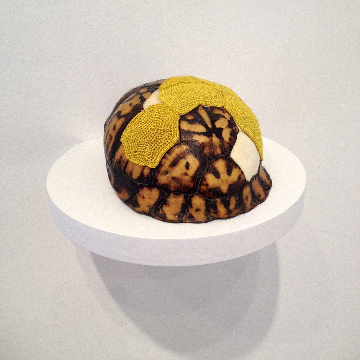 Esther Traugot Artworks