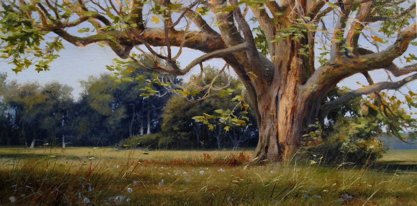 Renato Muccillo Fine Arts Studio