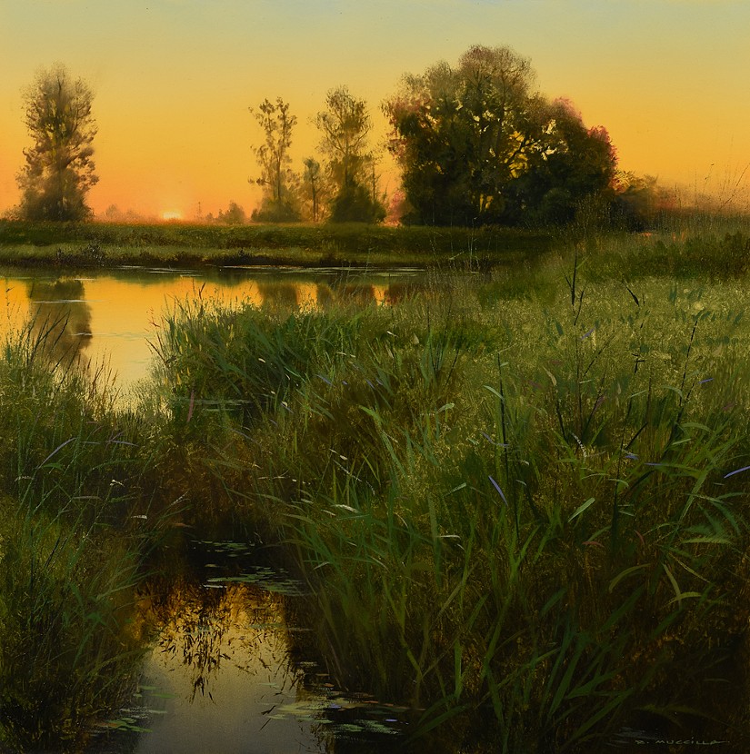 Renato Muccillo Fine Arts Studio