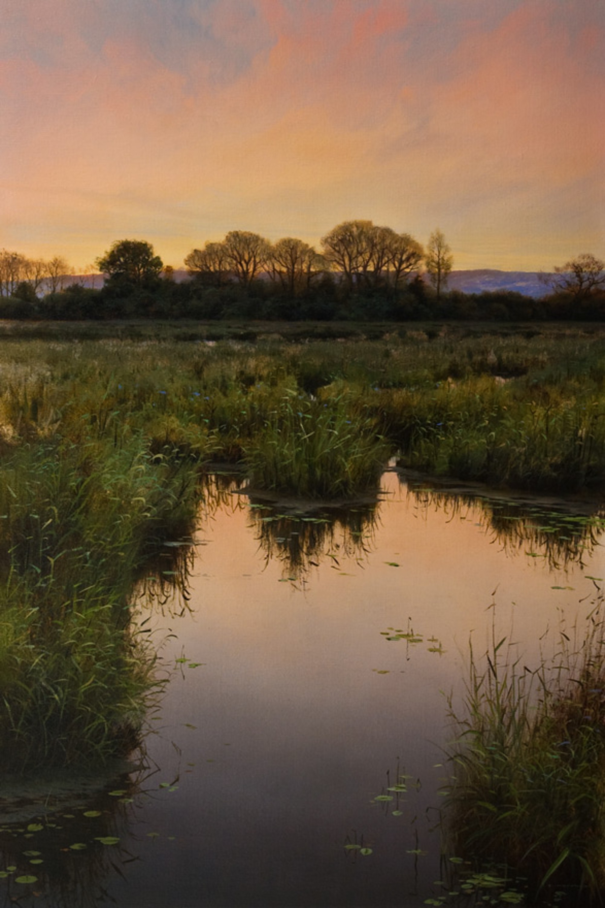 Renato Muccillo Fine Arts Studio