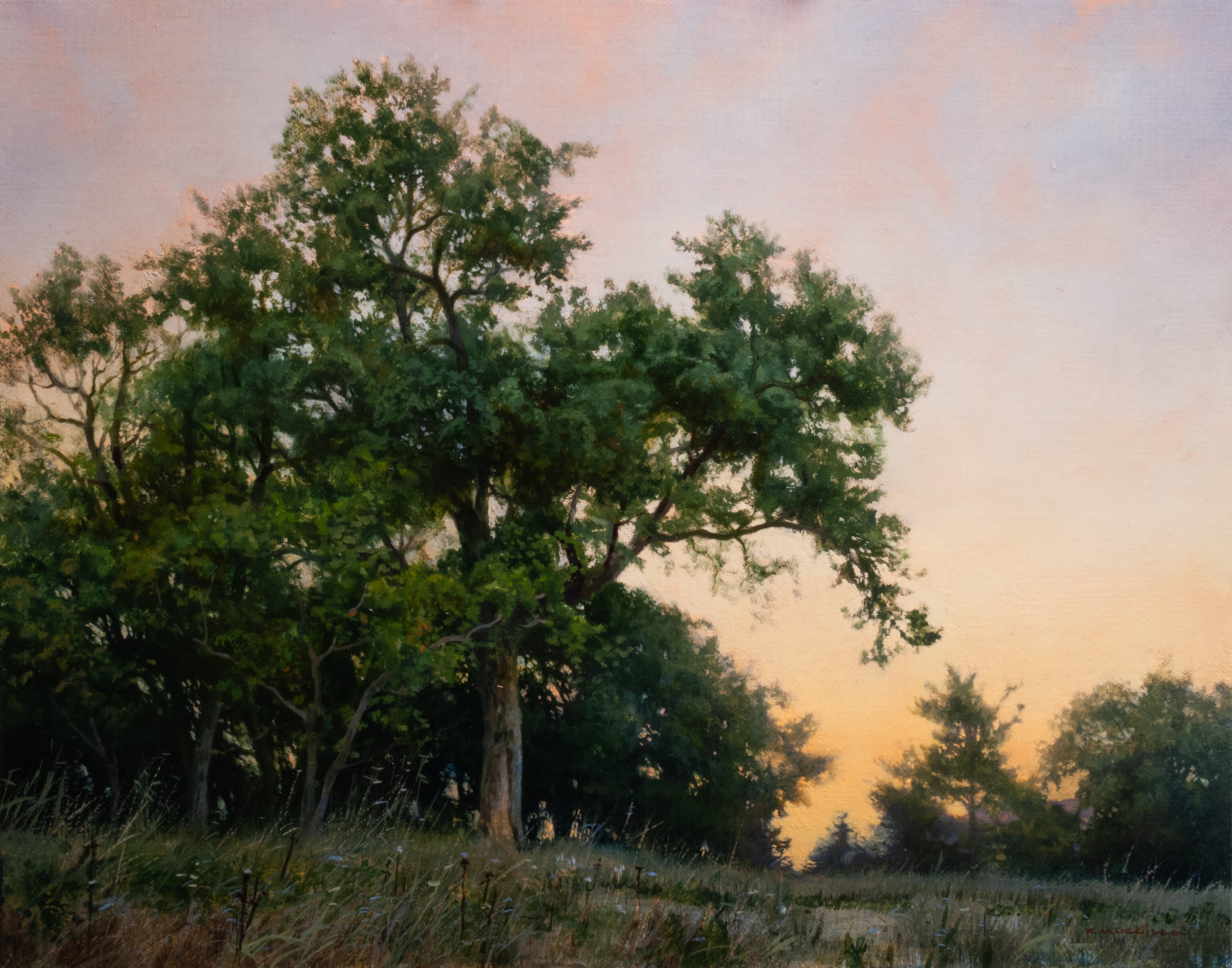 Renato Muccillo Fine Arts Studio