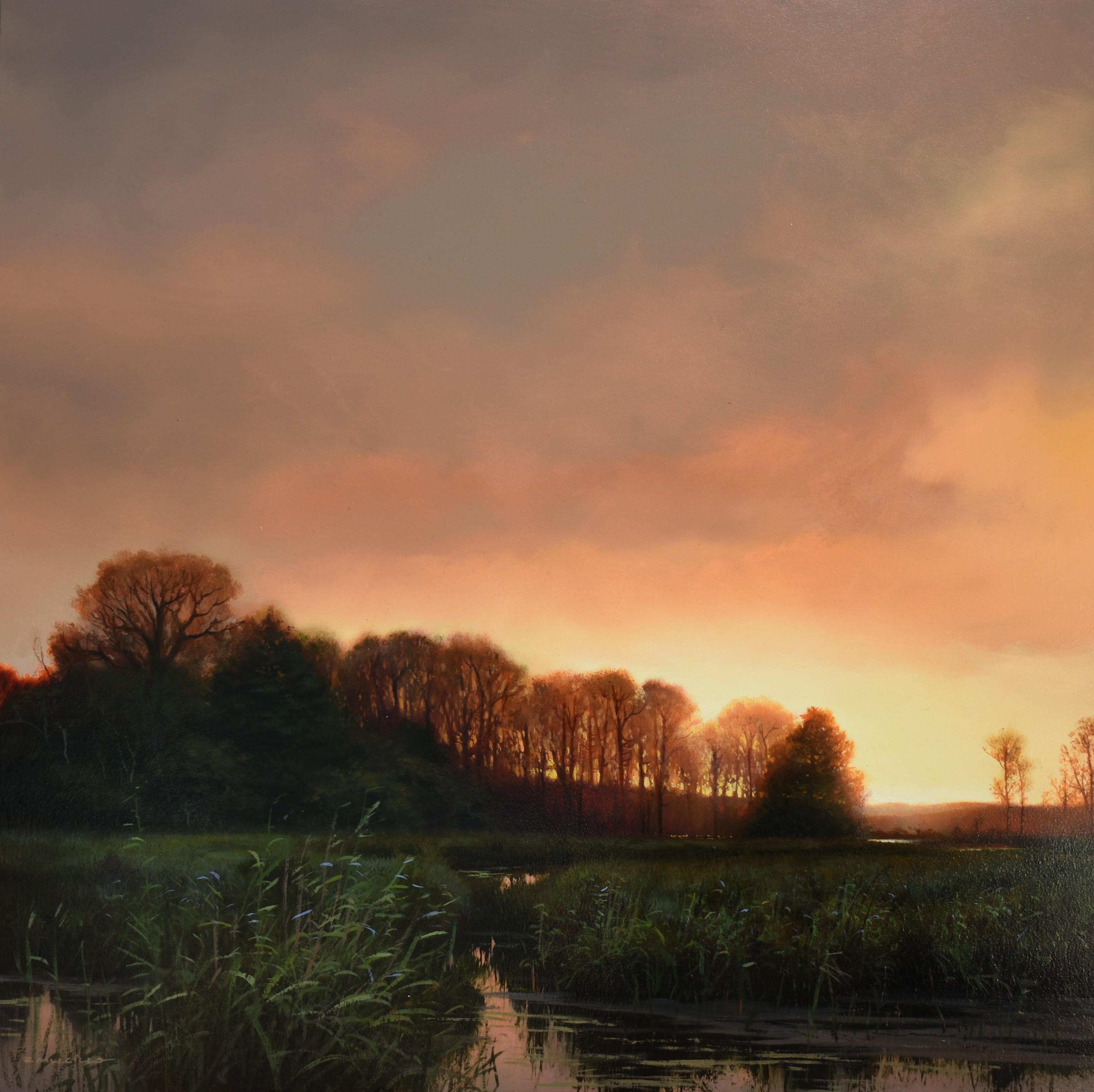 Renato Muccillo Fine Arts Studio