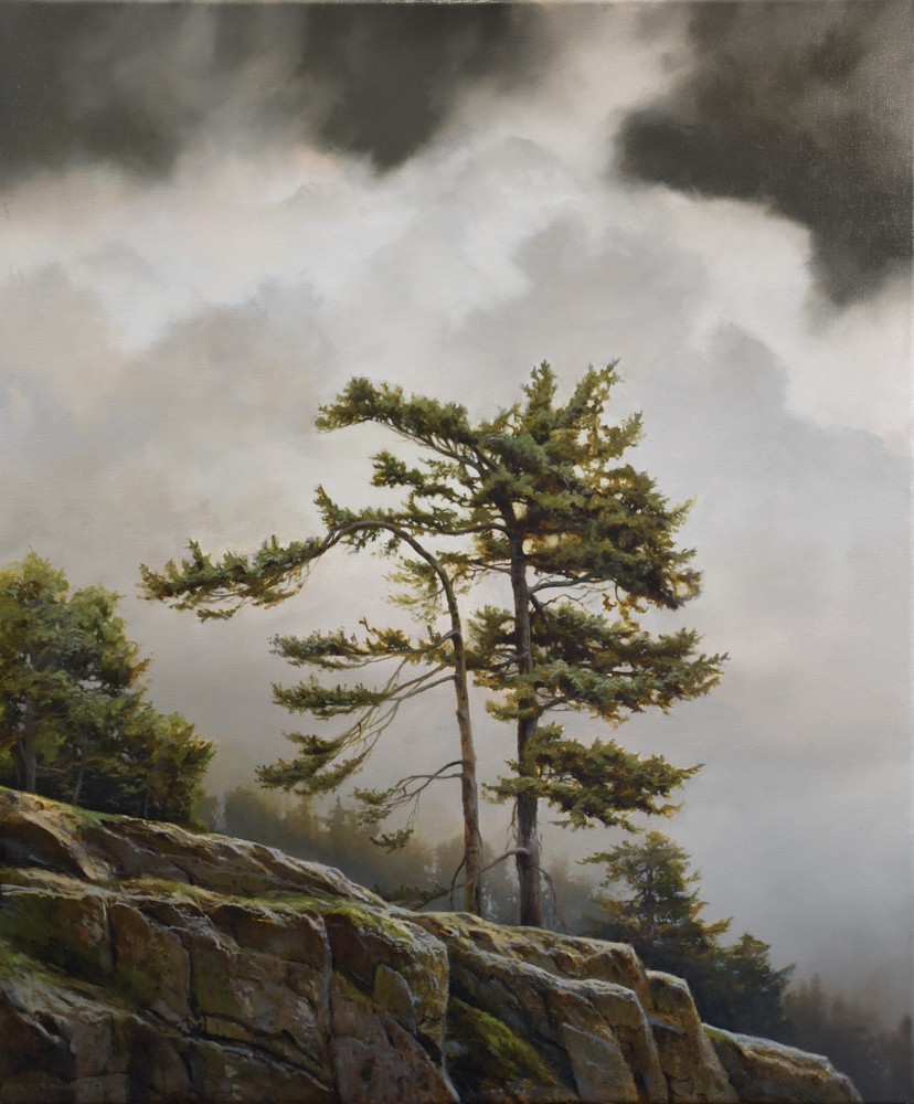 Renato Muccillo Fine Arts Studio