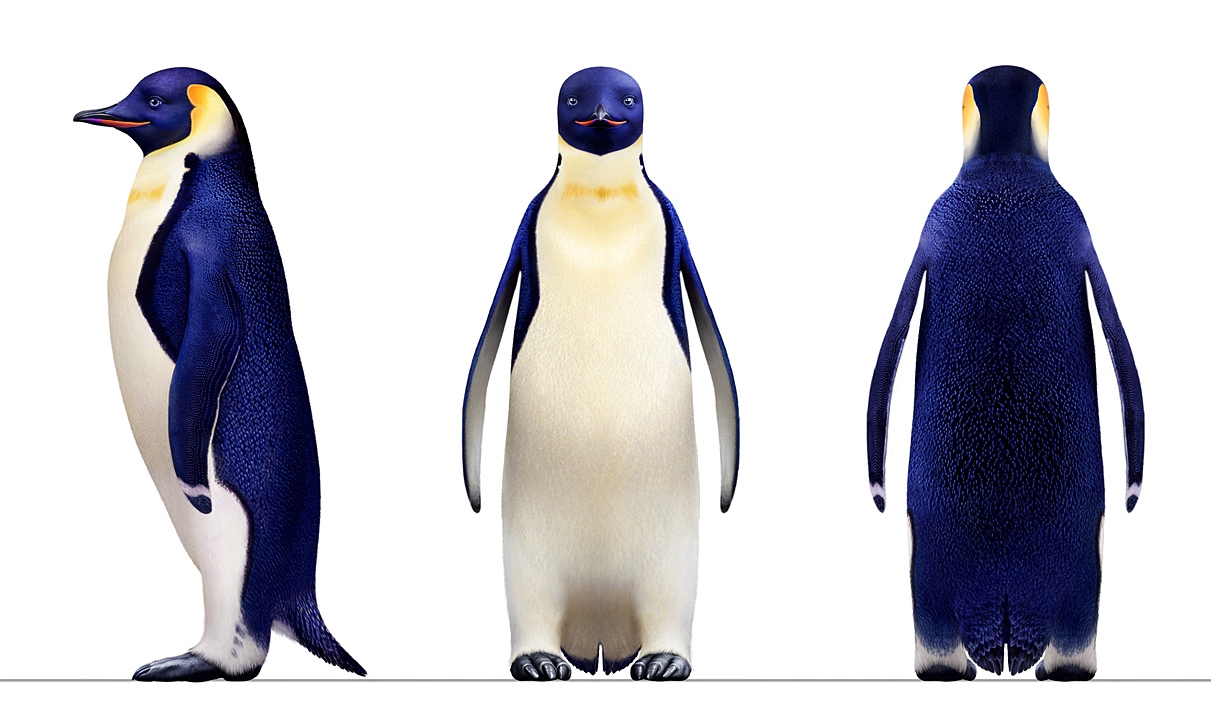 Philip Whiteley 3d 2d artist illustrator CV