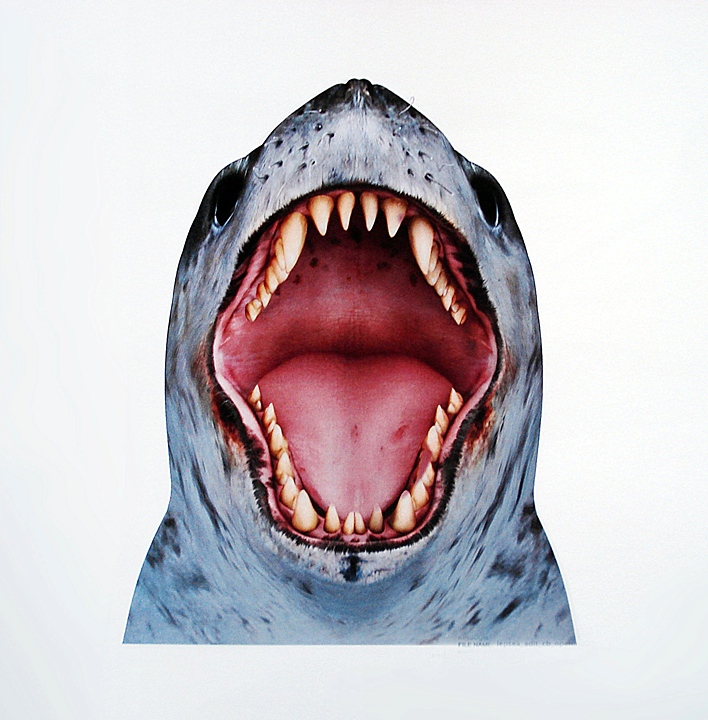 Philip Whiteley 3d 2d artist illustrator CV