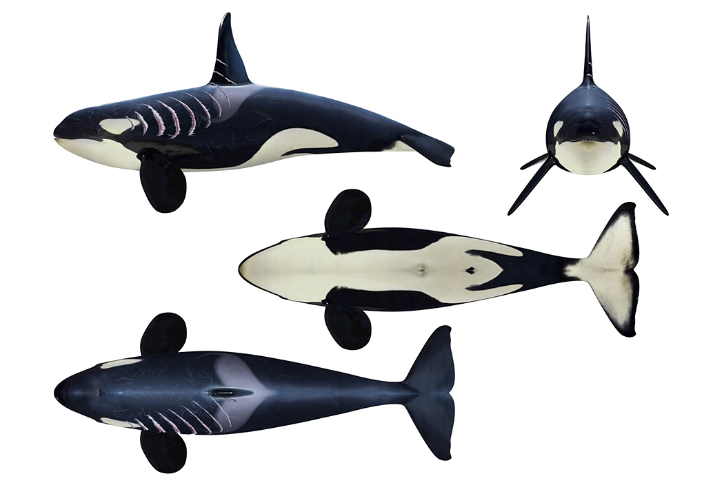 Philip Whiteley 3d 2d artist illustrator CV