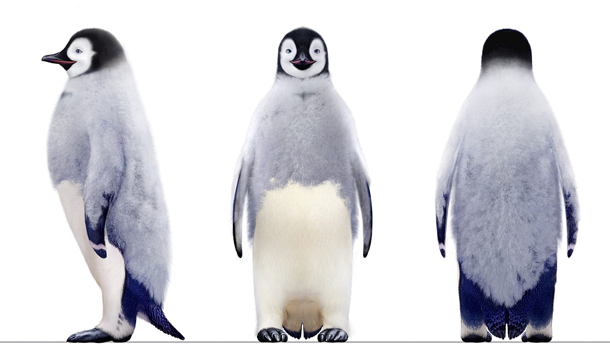 Philip Whiteley 3d 2d artist illustrator CV