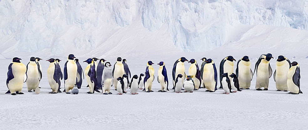 Philip Whiteley 3d 2d artist illustrator CV