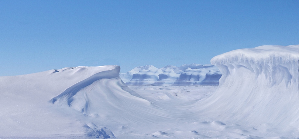 Philip Whiteley 3d 2d artist illustrator CV