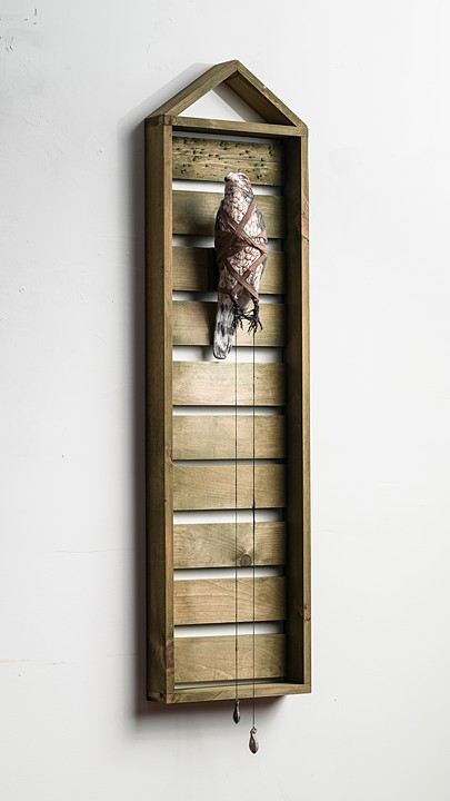 Elizabeth Jordan, NSS