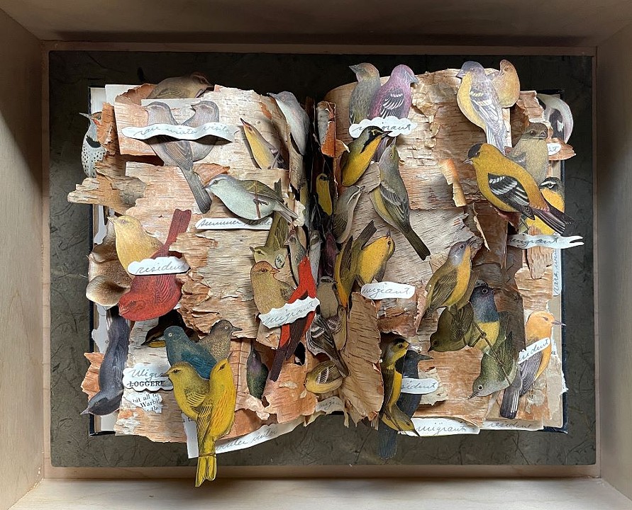 Doug Stapleton: Collages