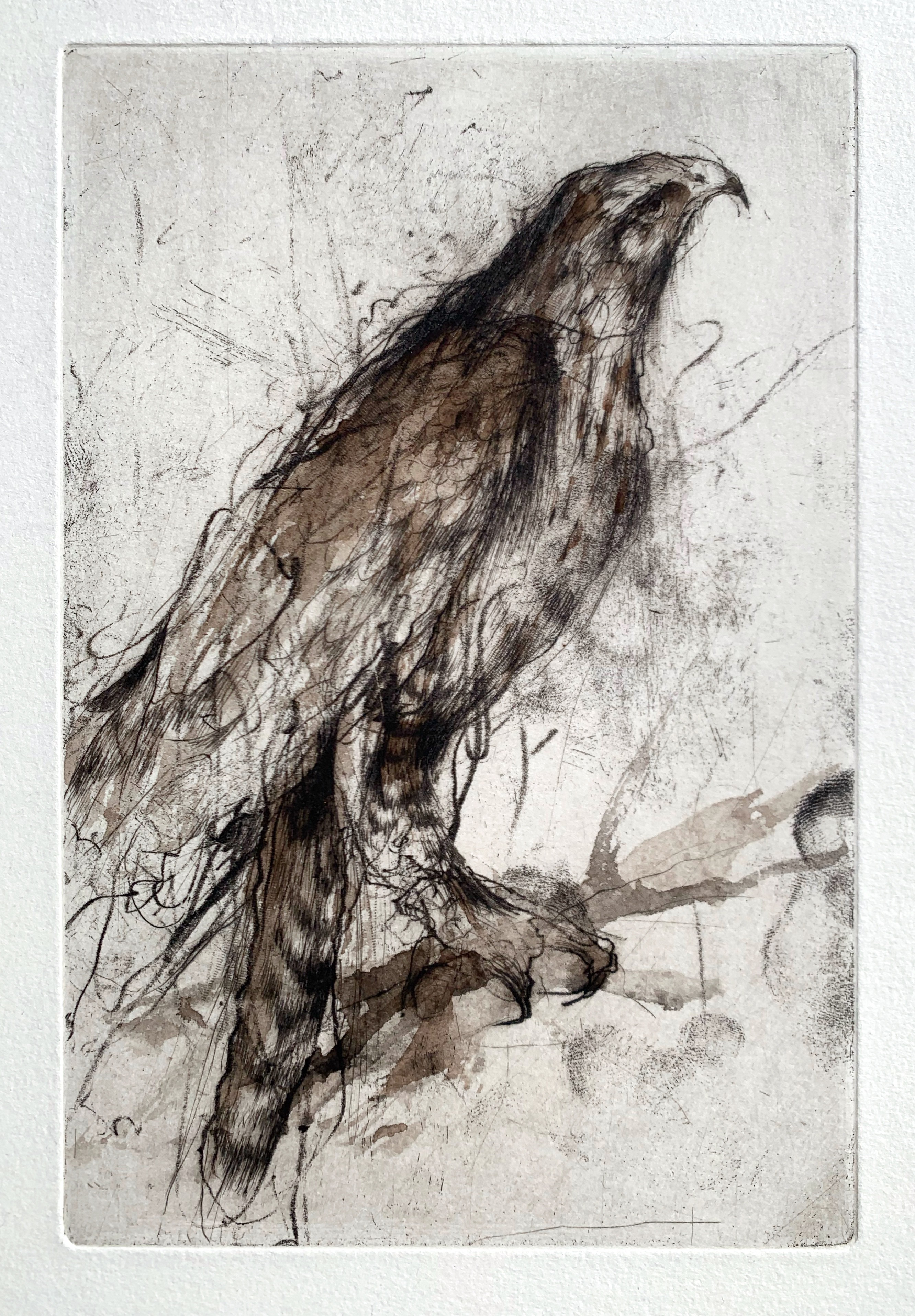 Jake Muirhead