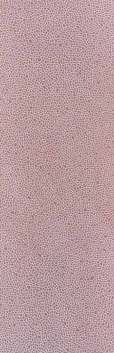 Casey Vogt : Dot Painter