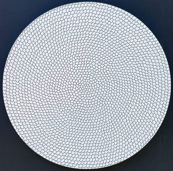 Casey Vogt : Dot Painter