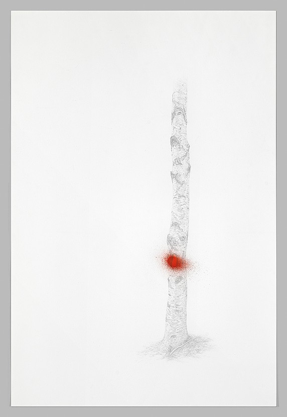 Andrea Sherrill Evans