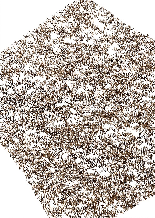 Andrea Sherrill Evans