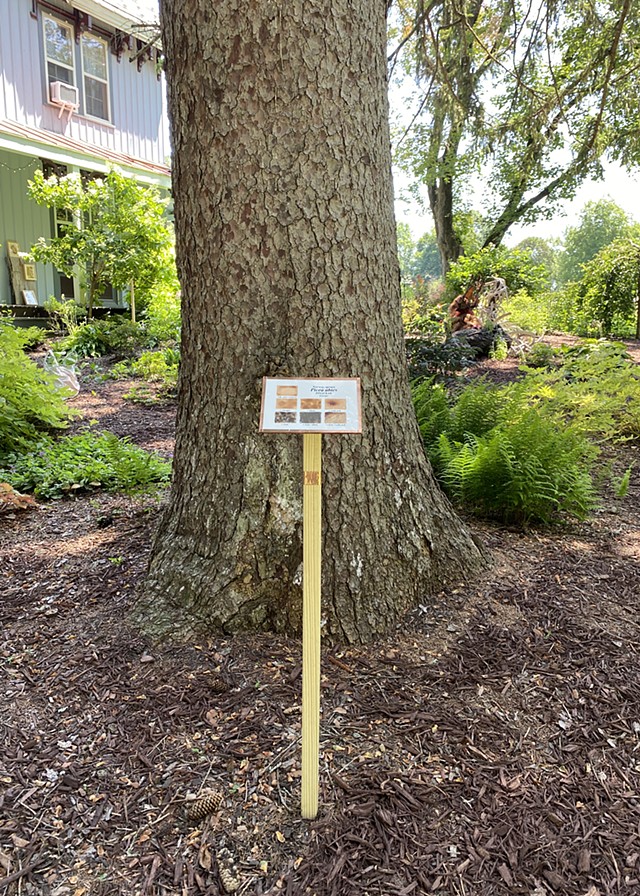 Andrea Sherrill Evans