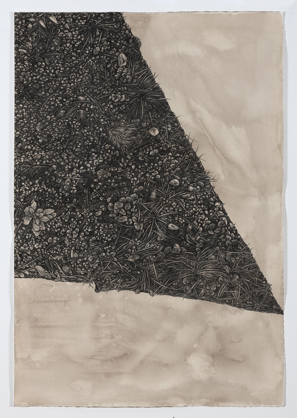 Andrea Sherrill Evans