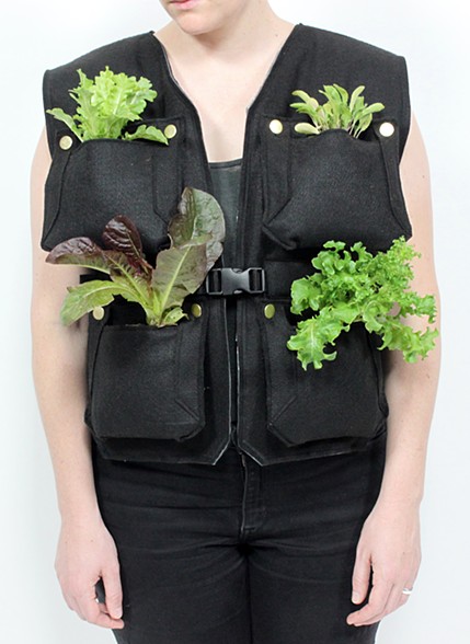 Andrea Sherrill Evans