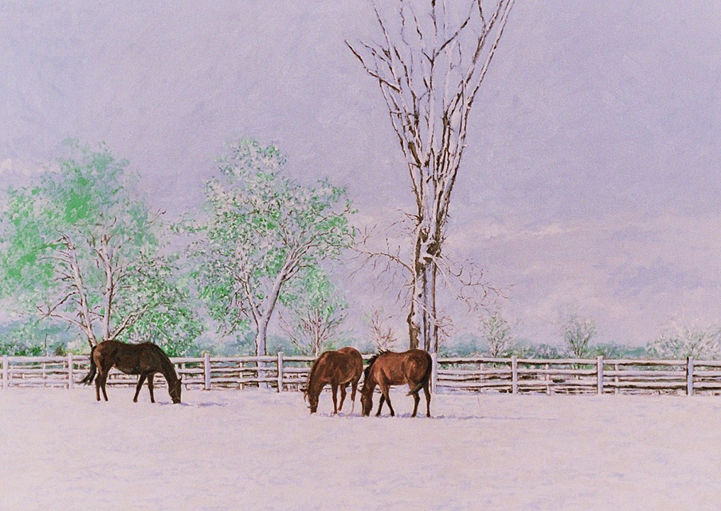 The Art of Robert Magee