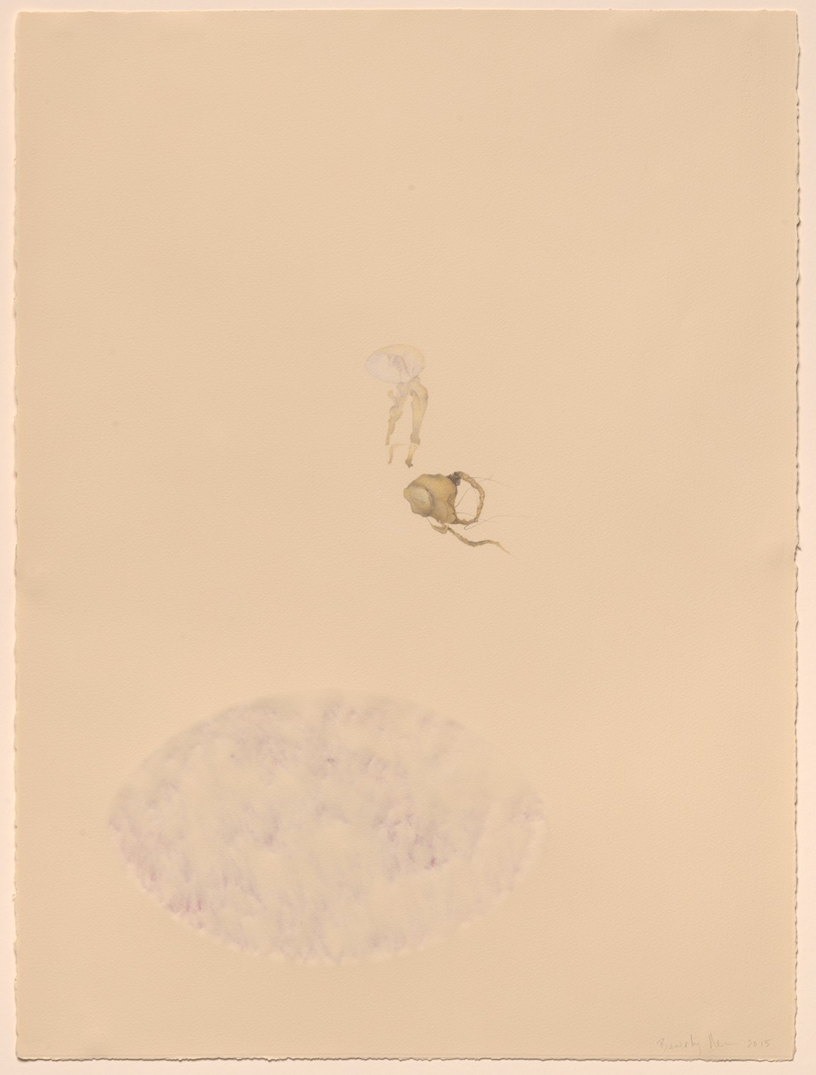 Beverly Ress - Drawing