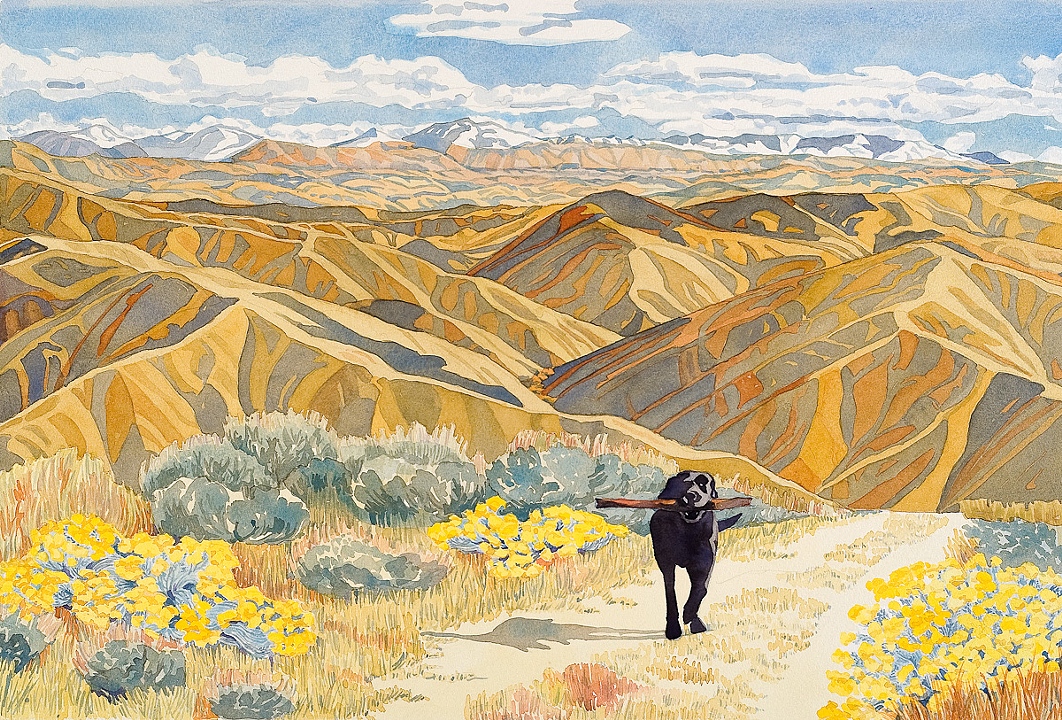 Idaho Landscapes by Sandra Shaw (and other works)