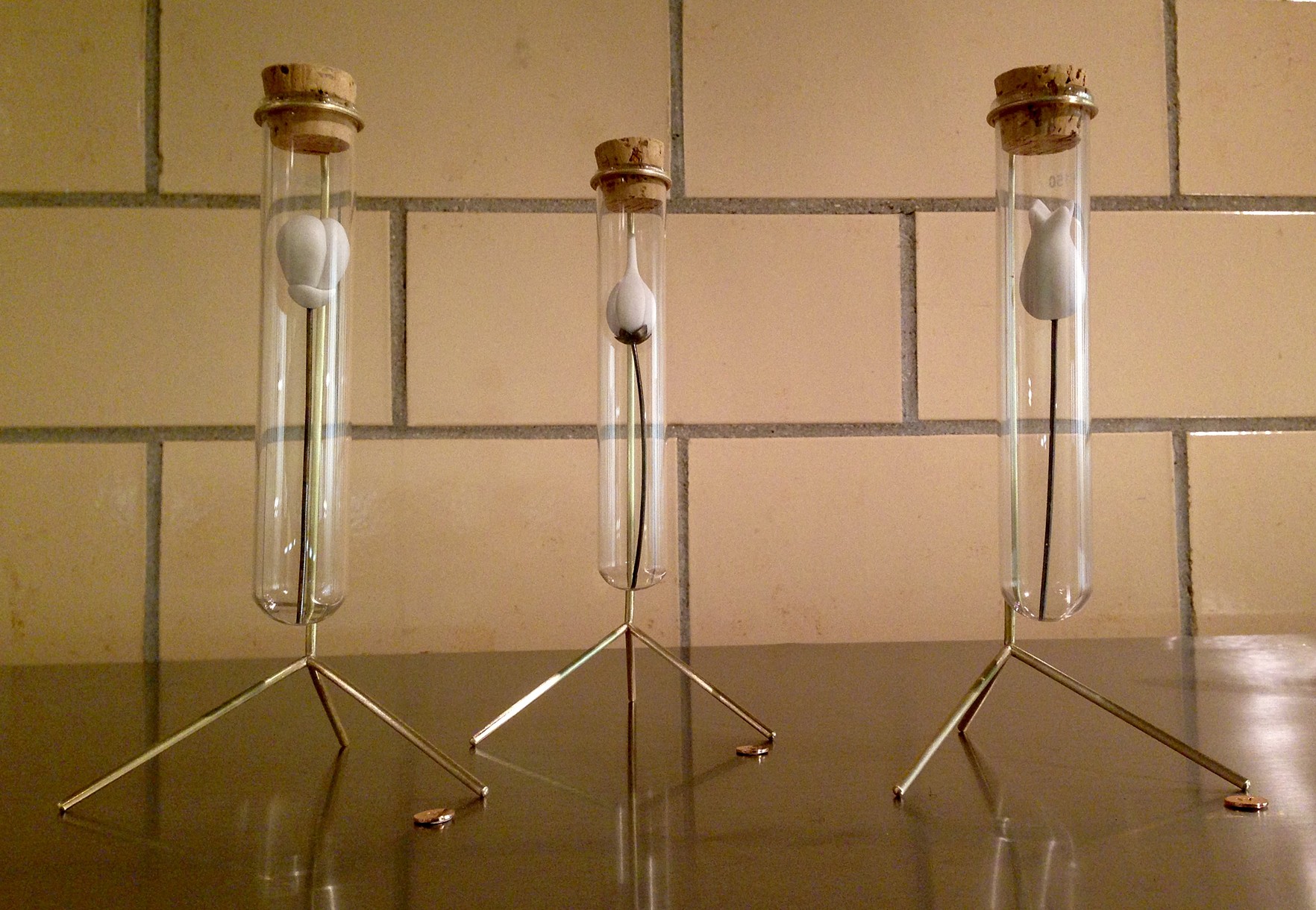 janice ho • studio