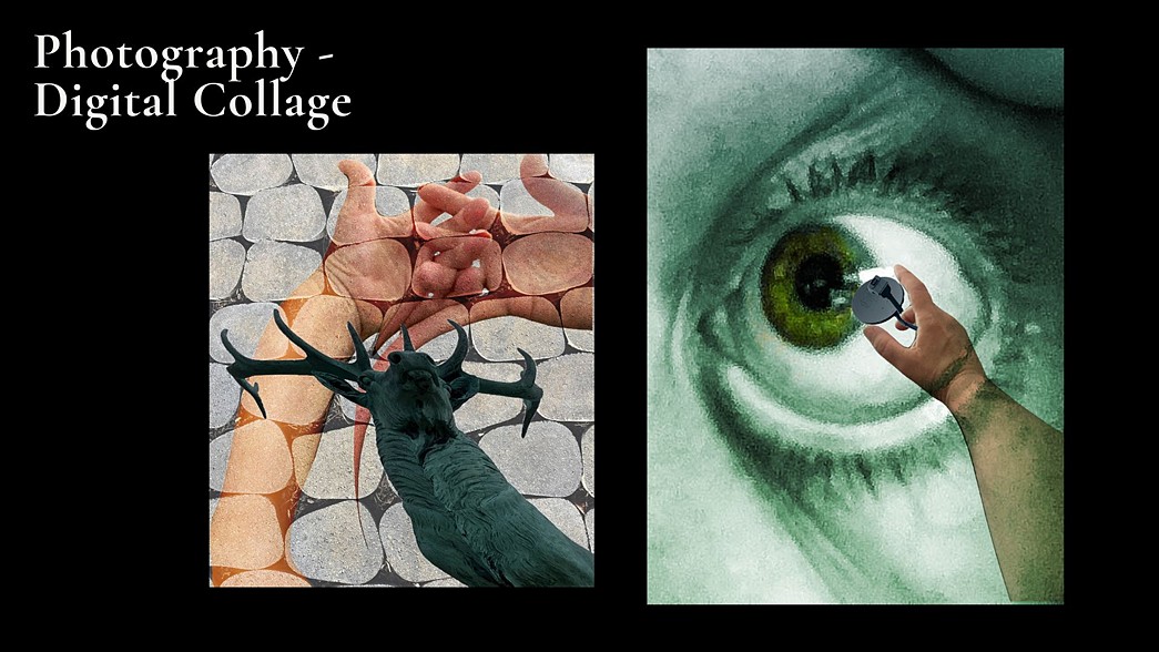 Mary Begley Visual Artist