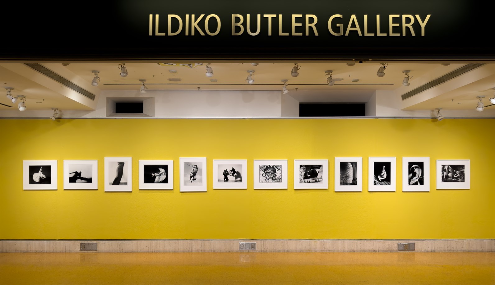 Fordham University's Ildiko Butler Gallery • Lipani Gallery • Hayden ...