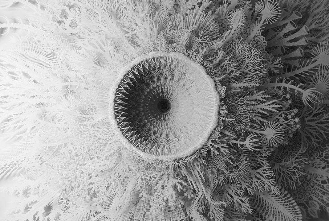 Rogan Brown - Paper Sculptures