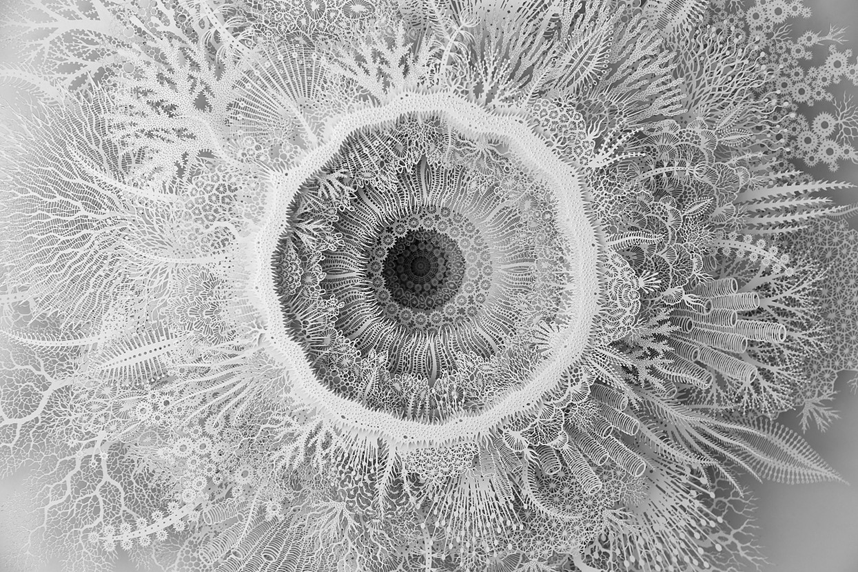 Rogan Brown - Paper Sculptures