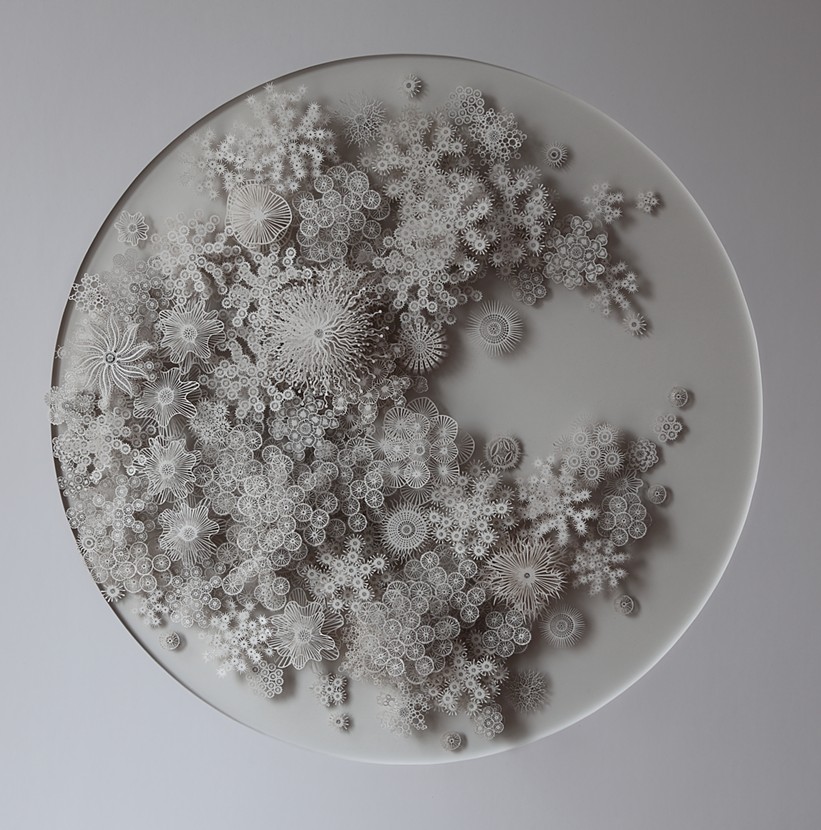 Rogan Brown - Paper Sculptures