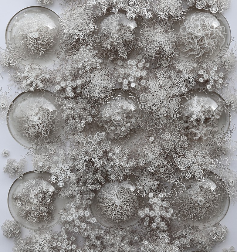 Rogan Brown - Paper Sculptures