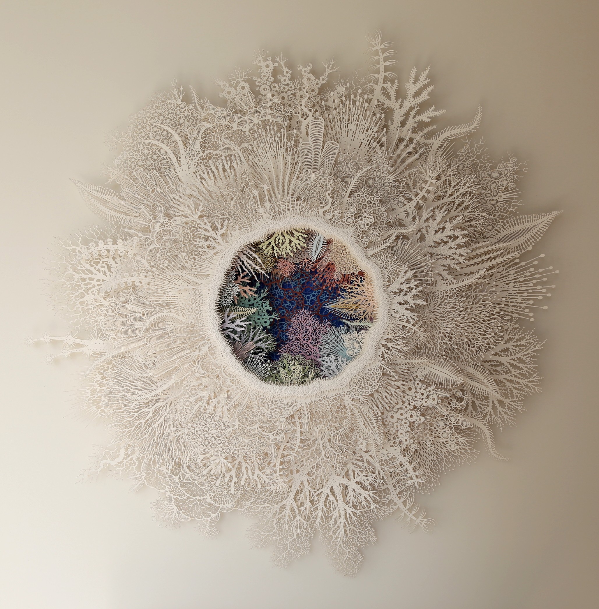 Rogan Brown - Paper Sculptures