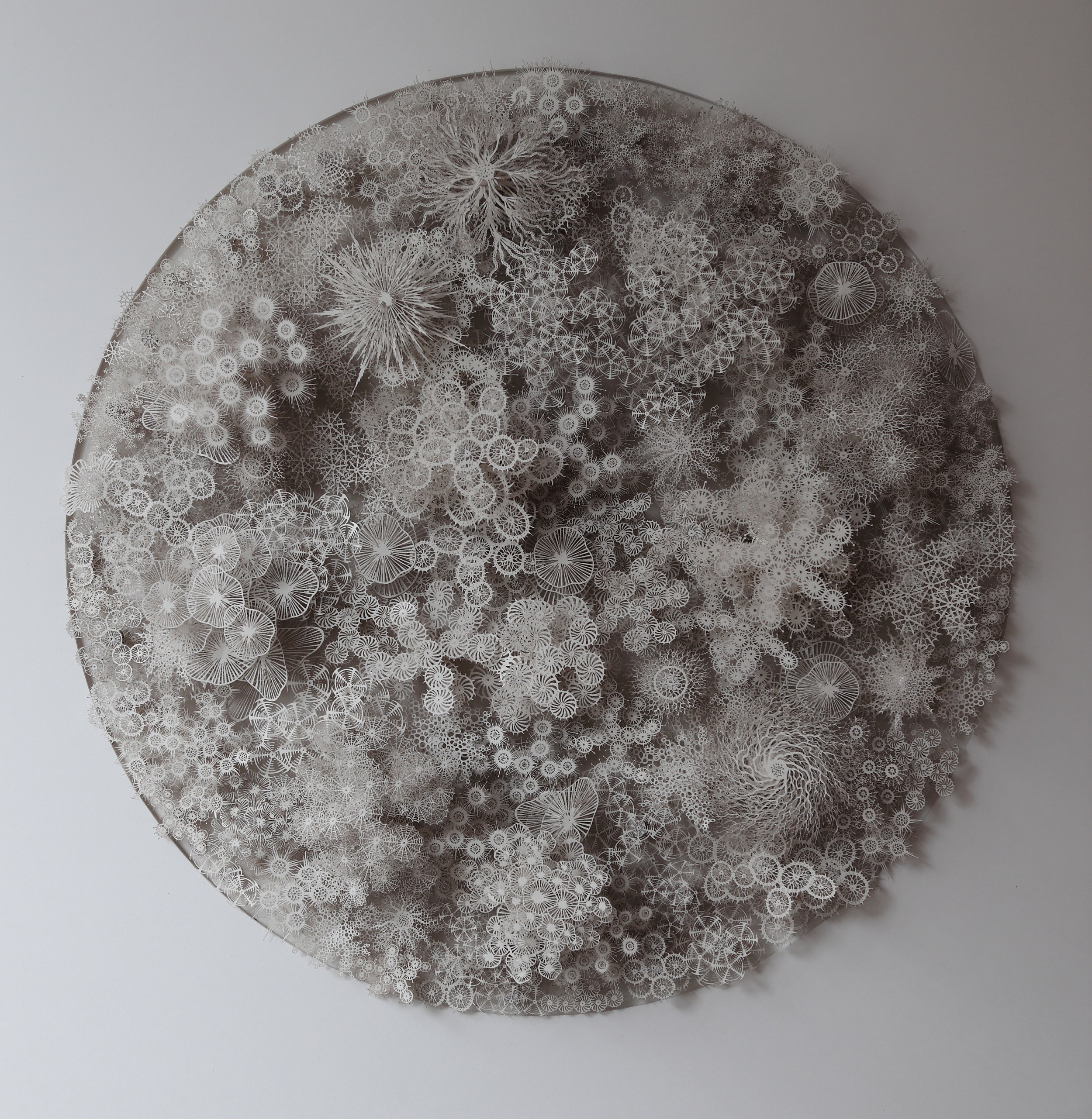 Rogan Brown - Paper Sculptures