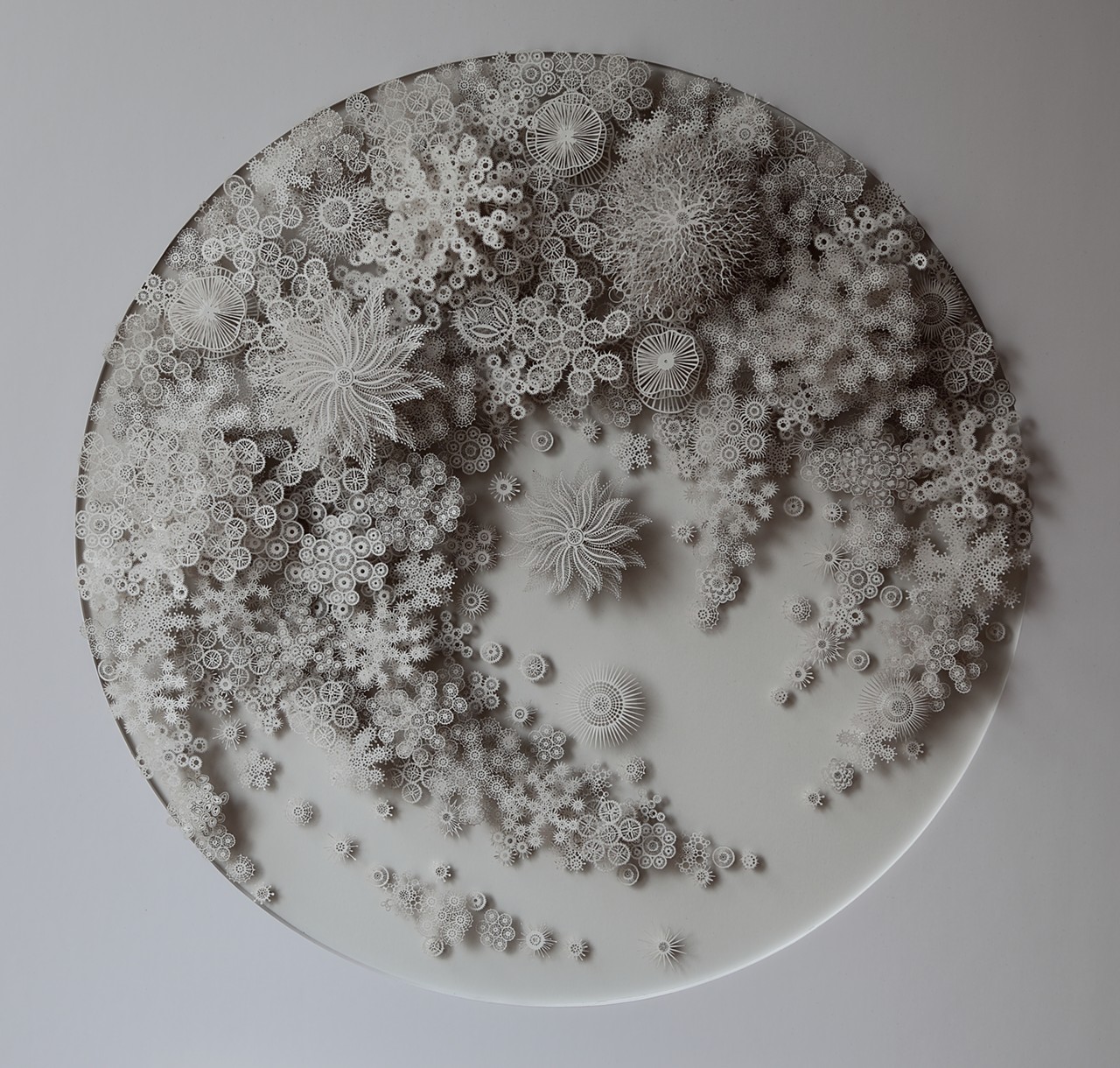 Rogan Brown - Paper Sculptures