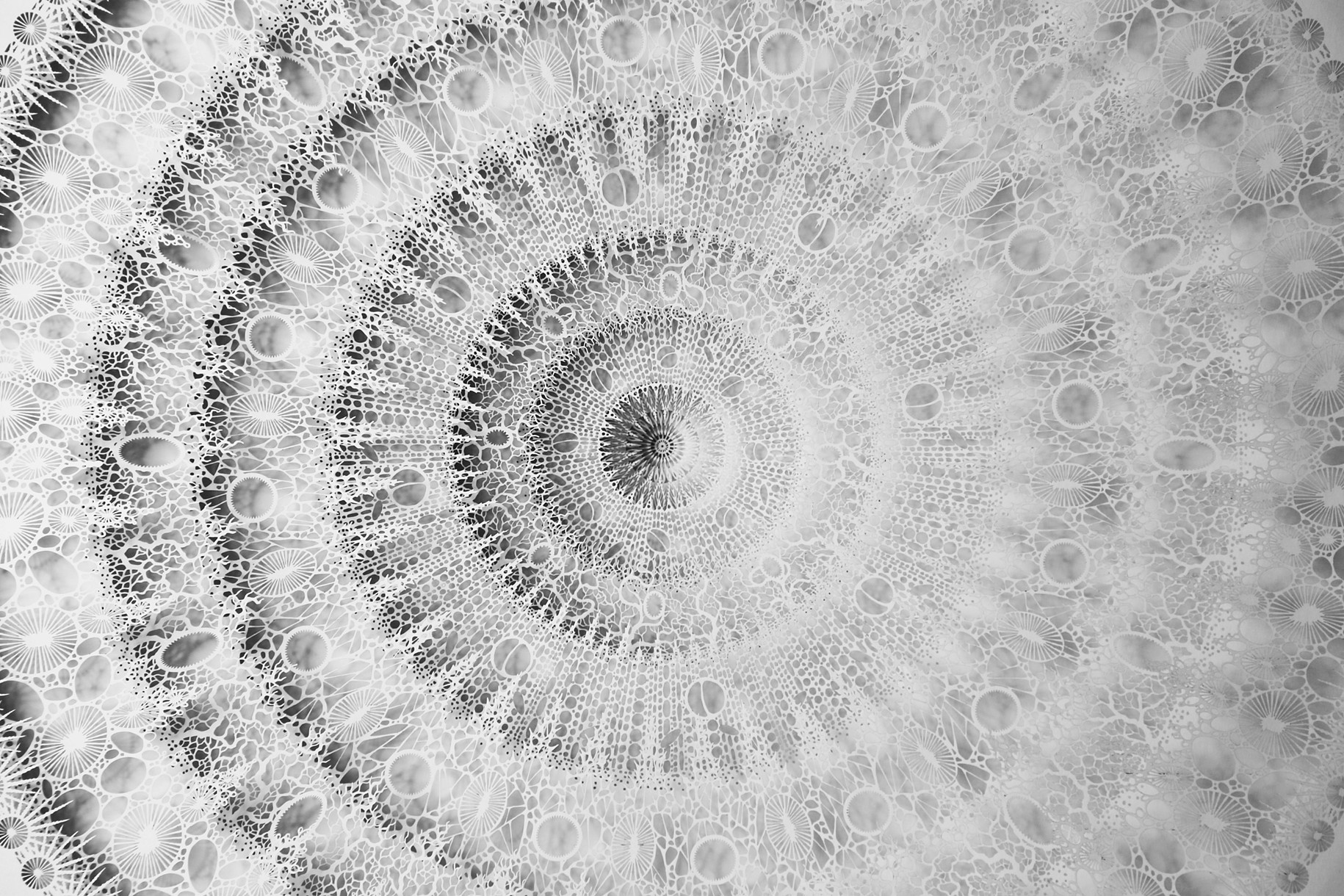 Rogan Brown - Paper Sculptures