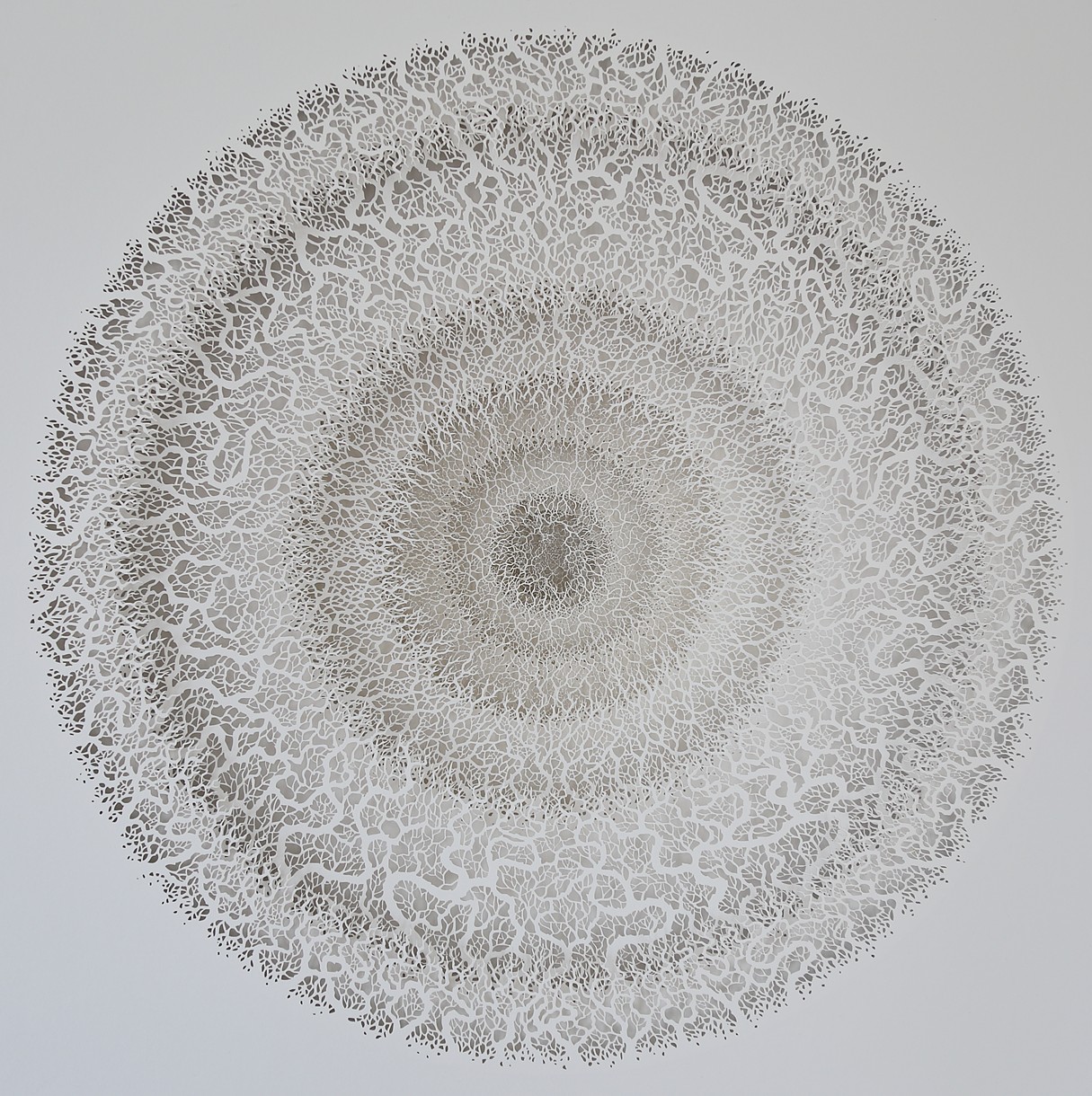 Rogan Brown - Paper Sculptures