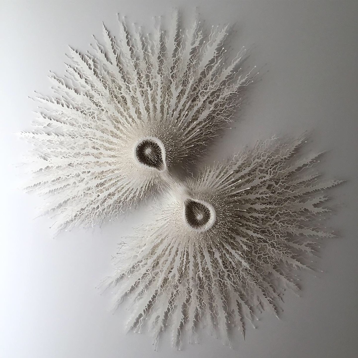 Rogan Brown - Paper Sculptures