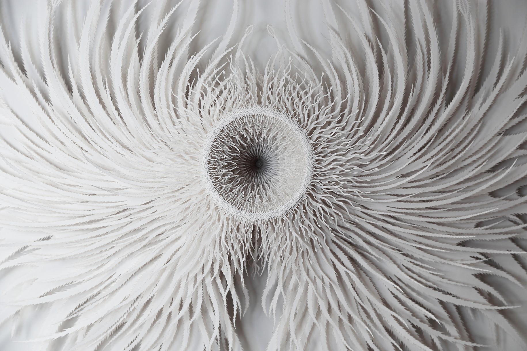 Rogan Brown - Paper Sculptures