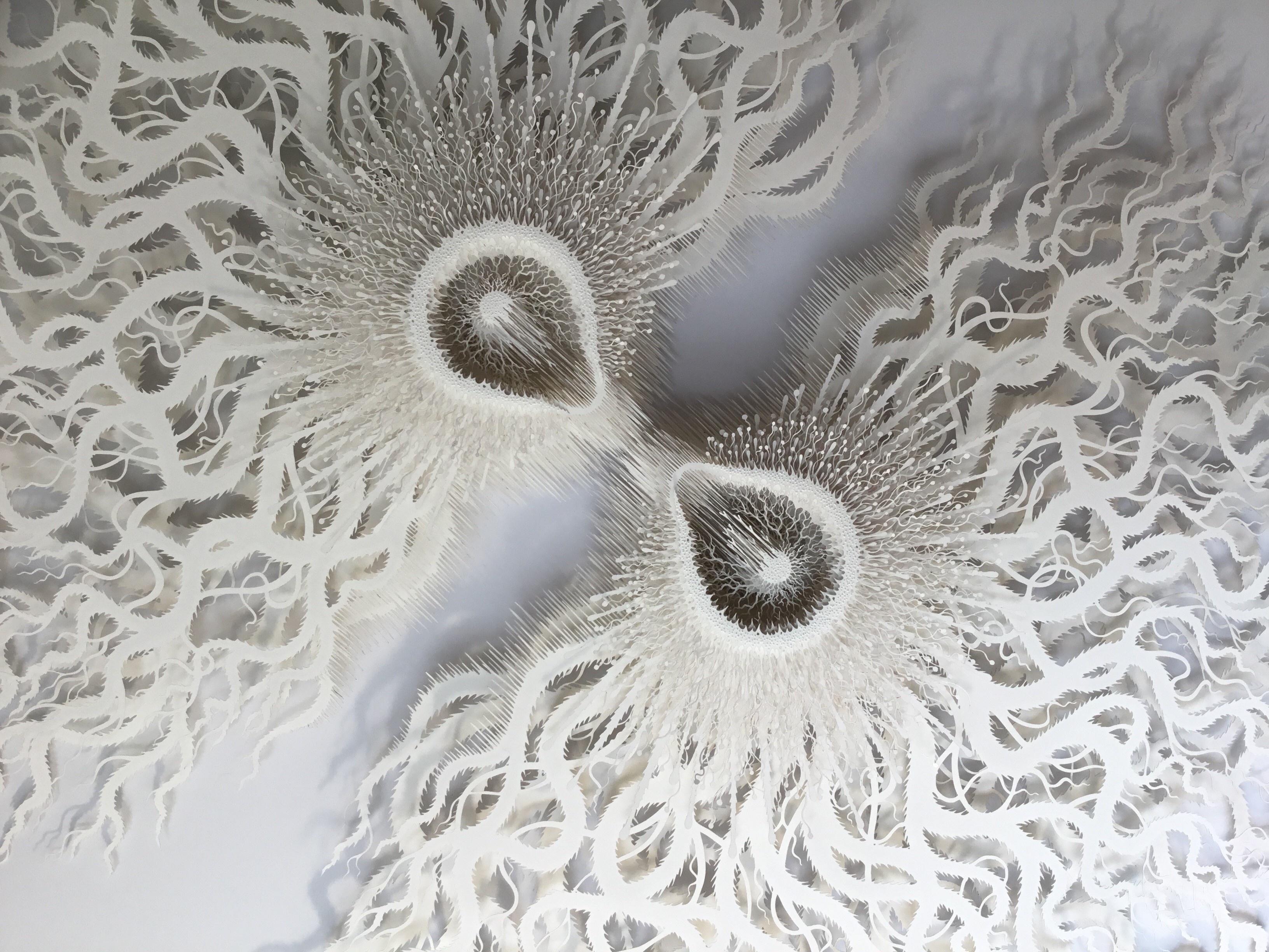 Rogan Brown - Paper Sculptures