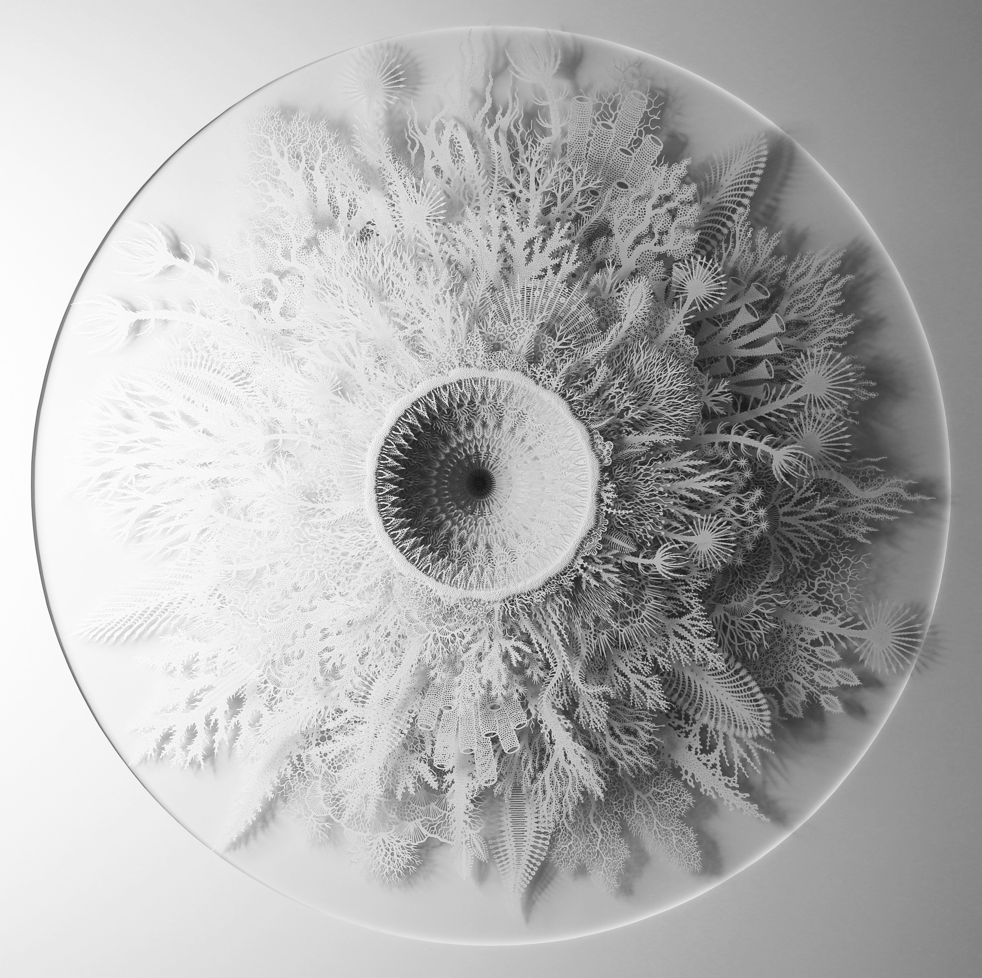 Rogan Brown - Paper Sculptures