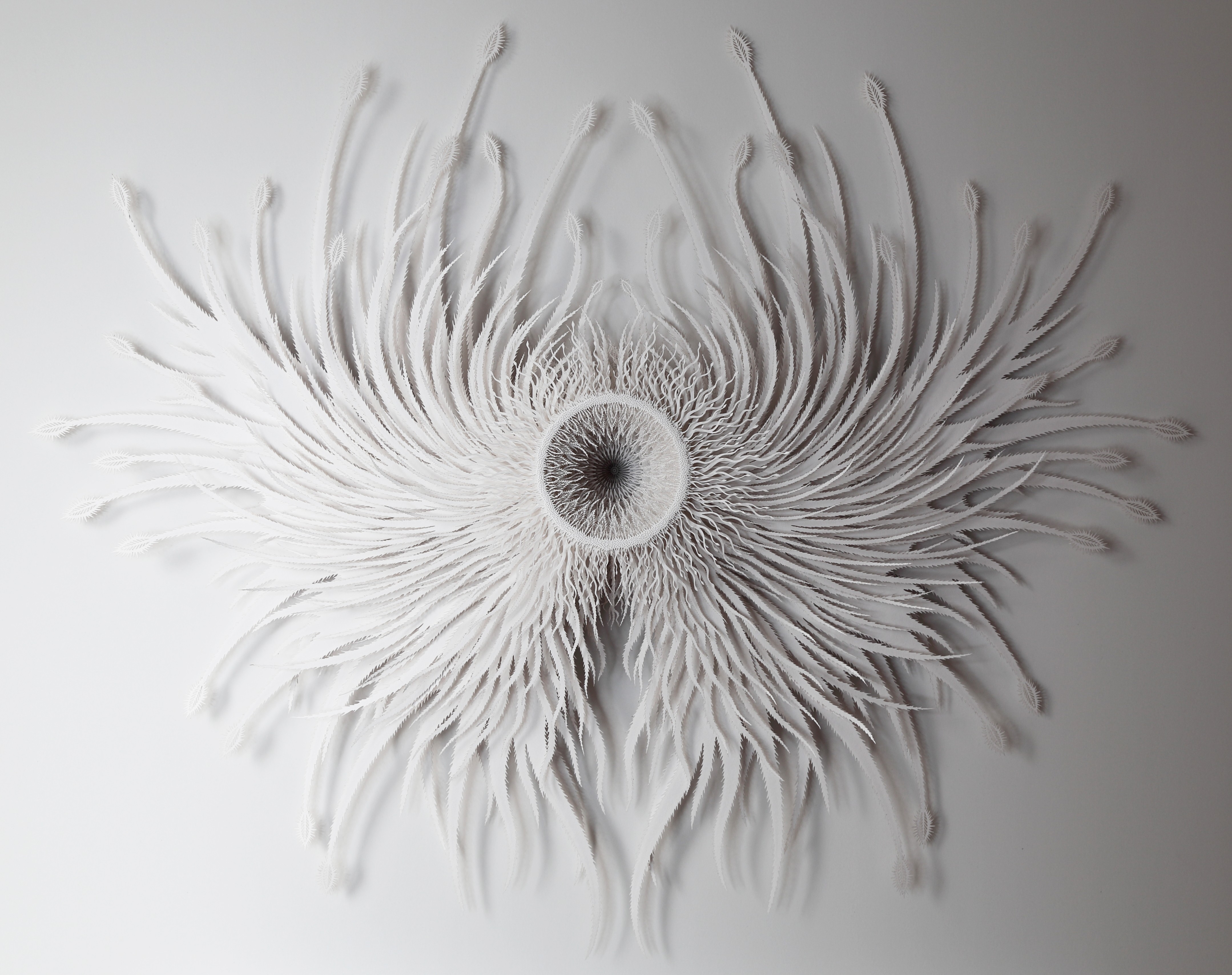 Rogan Brown - Paper Sculptures