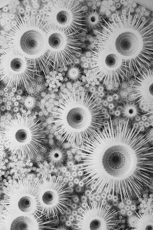 Rogan Brown - Paper Sculptures