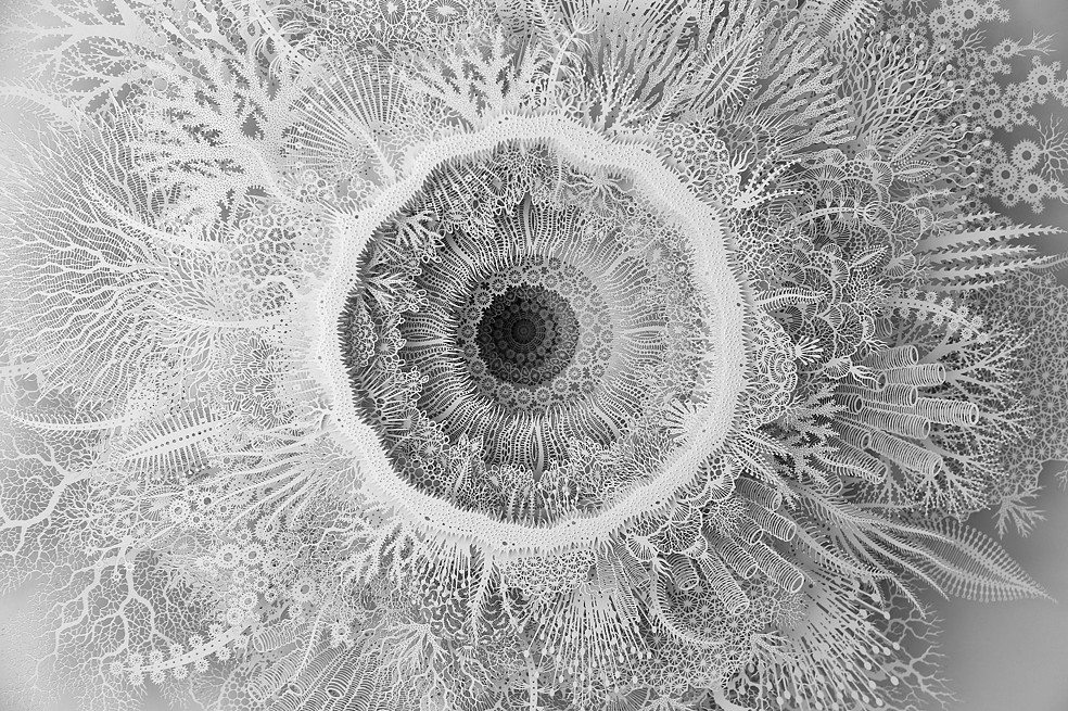 Rogan Brown - Paper Sculptures